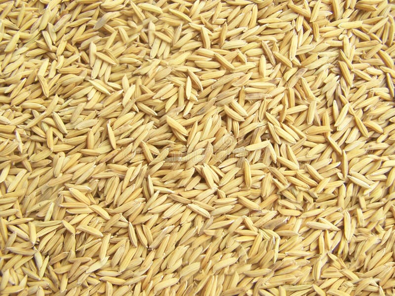 Color gold grain stock photo. Image of outdoor, layout - 44414612