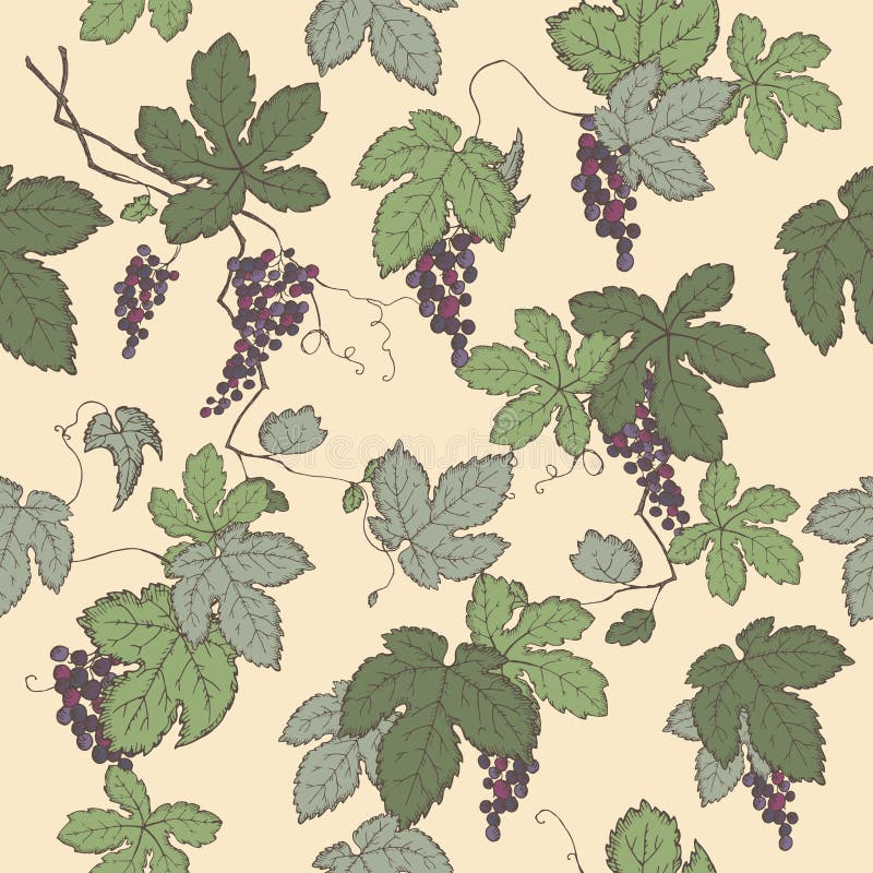 Grapevine ink sketch stock vector. Illustration of etching - 93822153