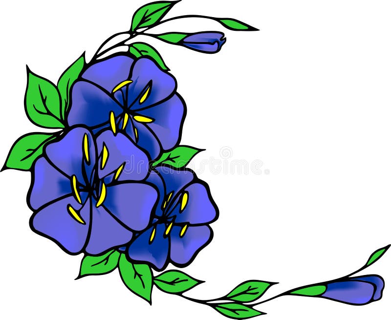 Color Graphic Drawing of Three Blue Flowers with Black Outline ...