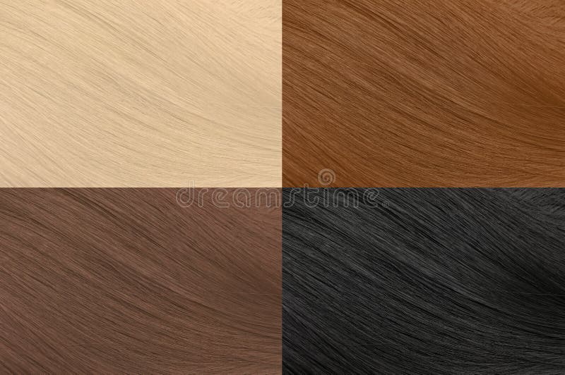 Color Hair Samples Palette, Closeup View. Collage Stock Photo - Image ...