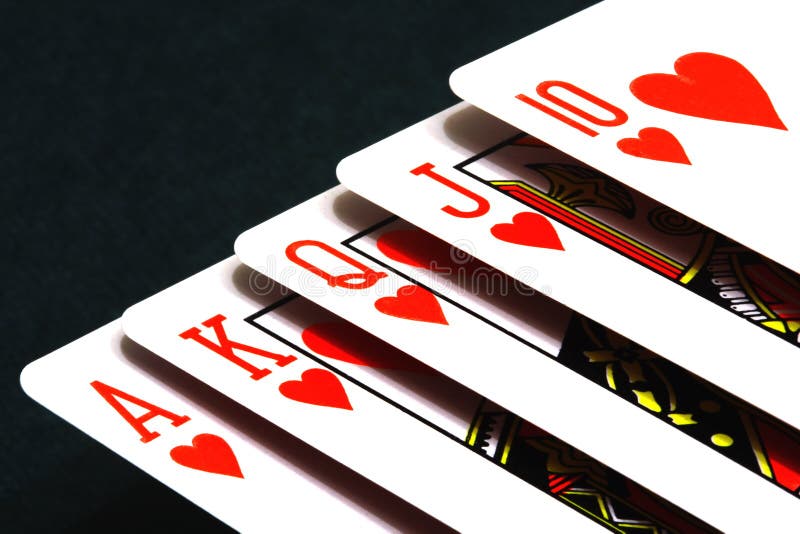 Card Shark stock photo. Image of hide, knave, pretender - 492730
