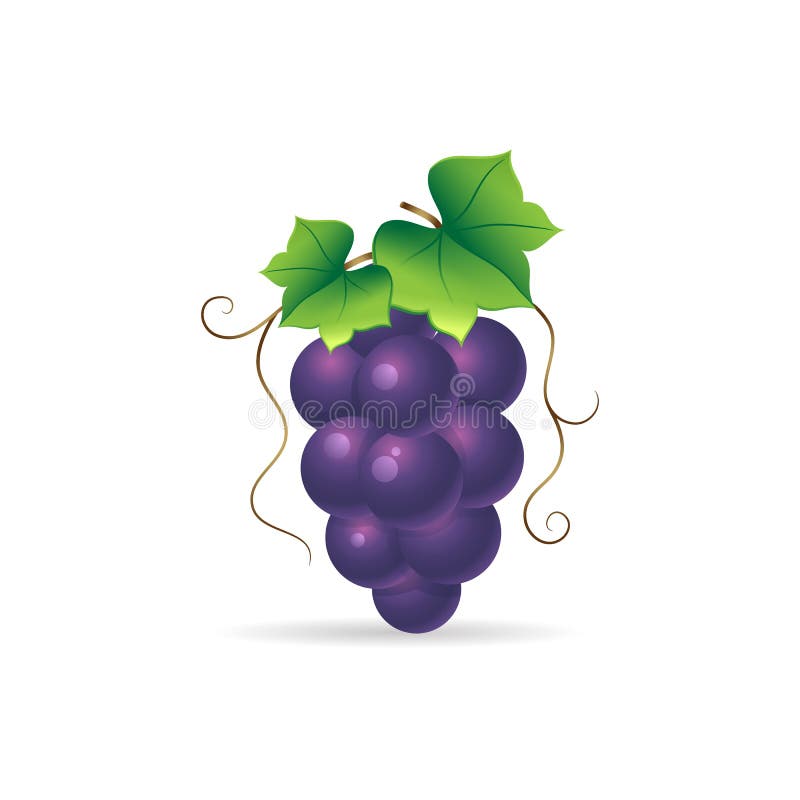 Color Icon - Grape stock vector. Illustration of technology - 193420829