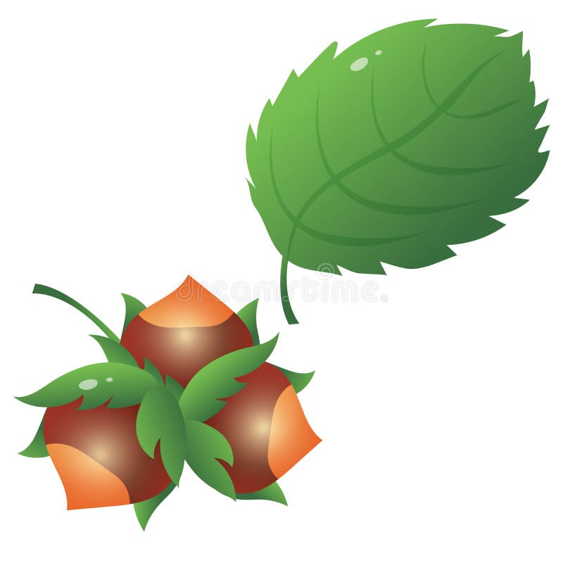 Hazel Leaf Icon, Flat Style Stock Vector - Illustration of nature ...