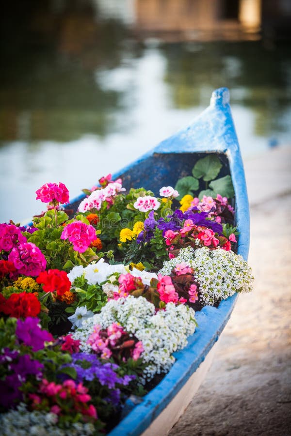 Boat with flowers stock photo. Image of flowers, color - 122378132