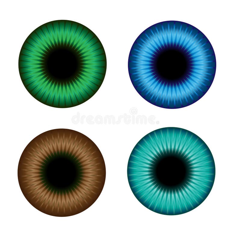 Iris Color Stock Illustrations – 24,740 Iris Color Stock Illustrations ...