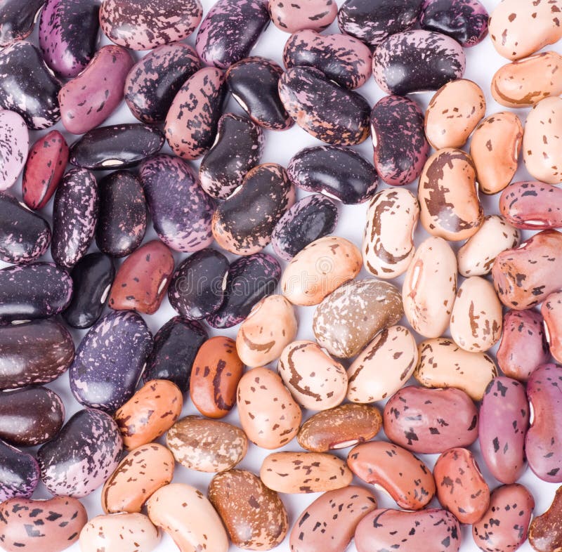 Color kidney beans stock image. Image of kidney, healthy - 24851363