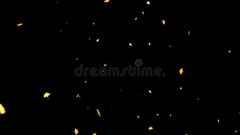 Color Leaf Emerges Particle Motion Graphics Stock Video - Video of ...