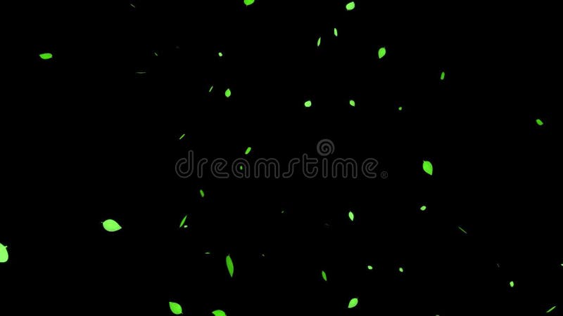 Color Leaf Emerges Particle Motion Graphics Stock Video - Video of ...