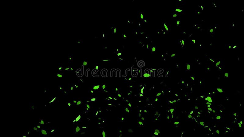 Color Leaf Emerges Particle Motion Graphics Stock Footage - Video of ...