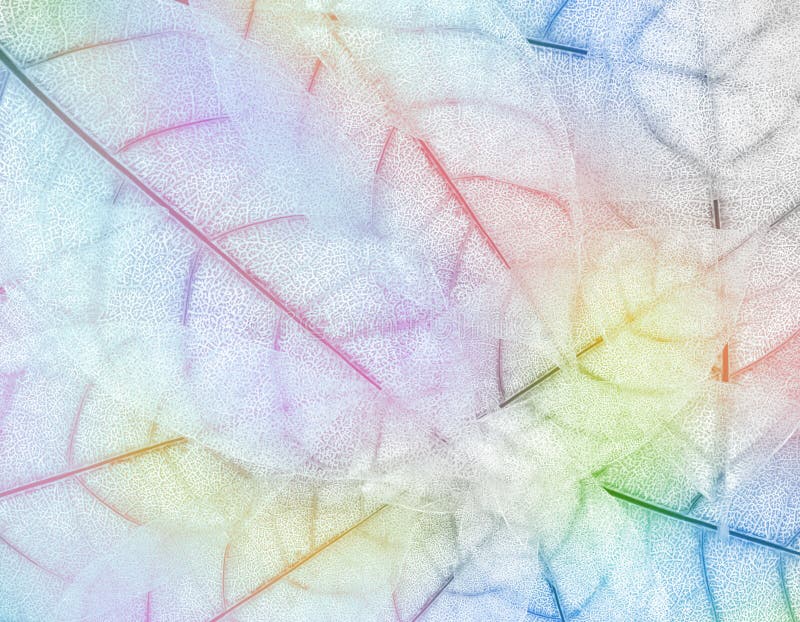 Color leave, leaf stock illustration. Illustration of structure - 60772543