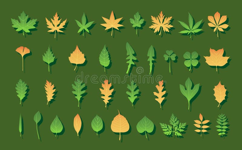 Color Leaves stock vector. Illustration of leaf, natural - 8079049