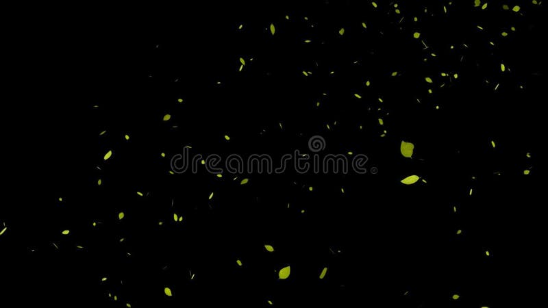 Color Leaves Falling Particles Motion Graphics Stock Footage - Video of ...