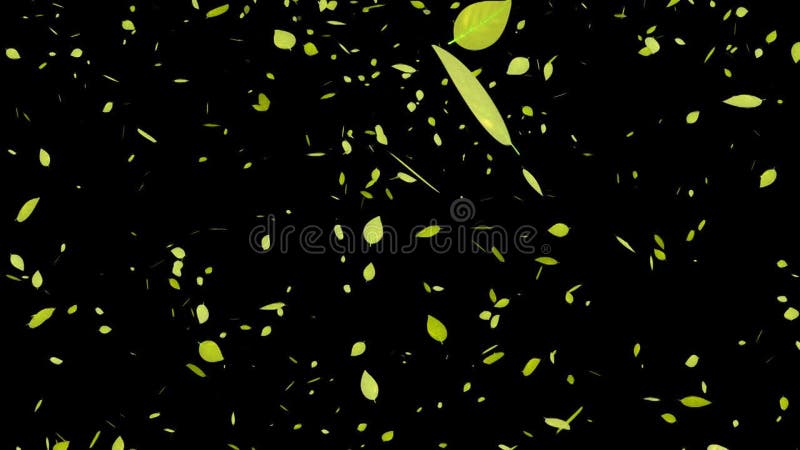 Color Leaves Falling Particles Motion Graphics Stock Video - Video of ...