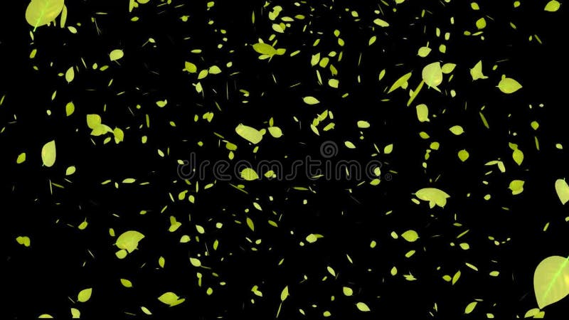 Color Leaves Falling Particles Motion Graphics Stock Video - Video of ...