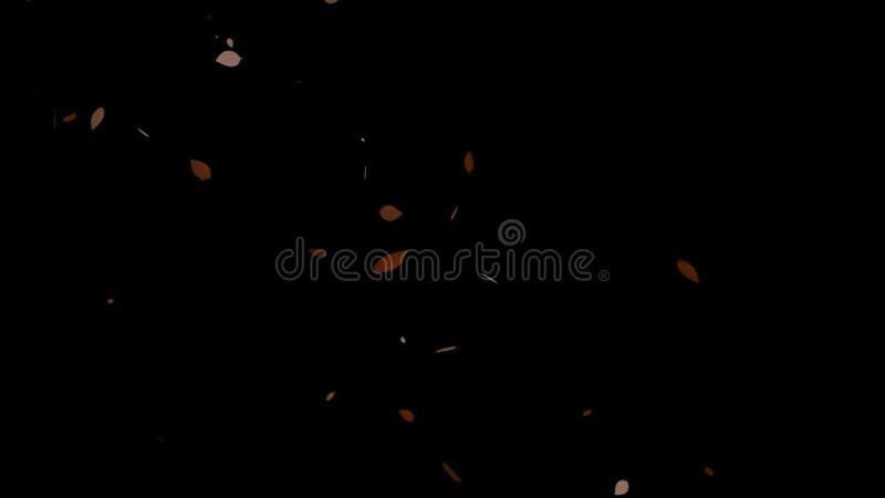 Color Leaves Falling Particles Motion Graphics Stock Video - Video of ...