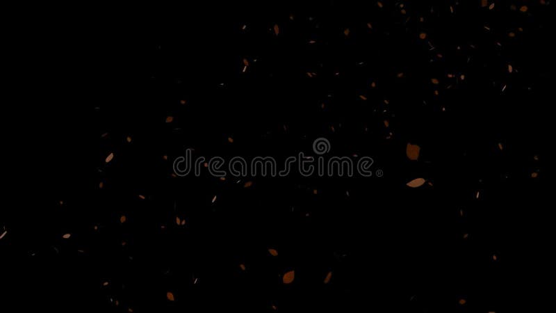 Color Leaves Falling Particles Motion Graphics Stock Footage - Video of ...