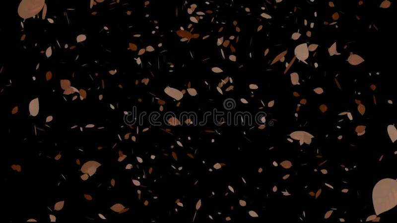 Color Leaves Falling Particles Motion Graphics Stock Footage - Video of ...
