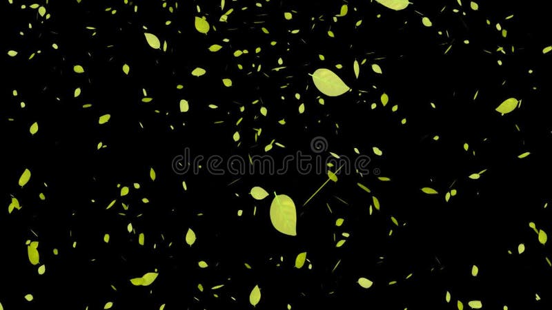 Color Leaves Falling Particles Motion Graphics Stock Video - Video of ...