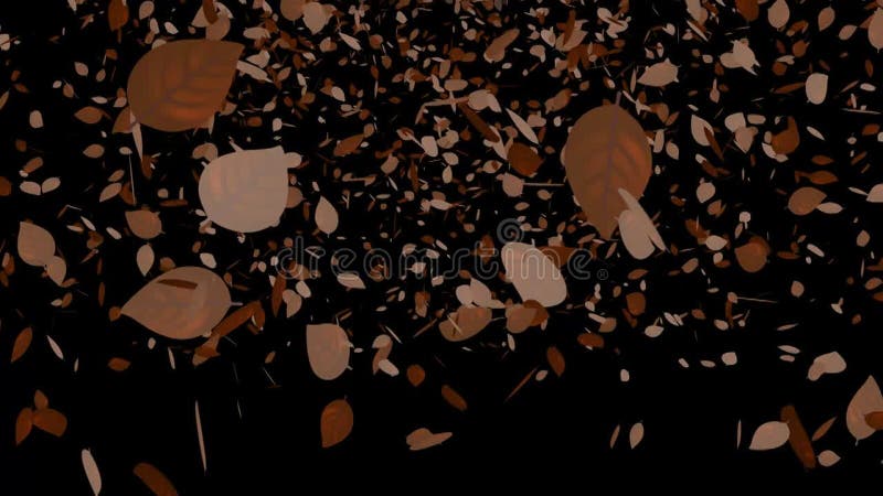 Color Leaves Falling Particles Motion Graphics Stock Footage - Video of ...