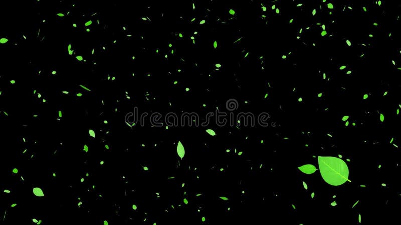 Color Leaves Falling Particles Motion Graphics Stock Video - Video of ...