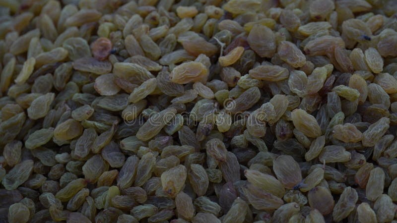 Color Lots of Kismis Dry Fruit Stock Image - Image of kismis, kishmis ...