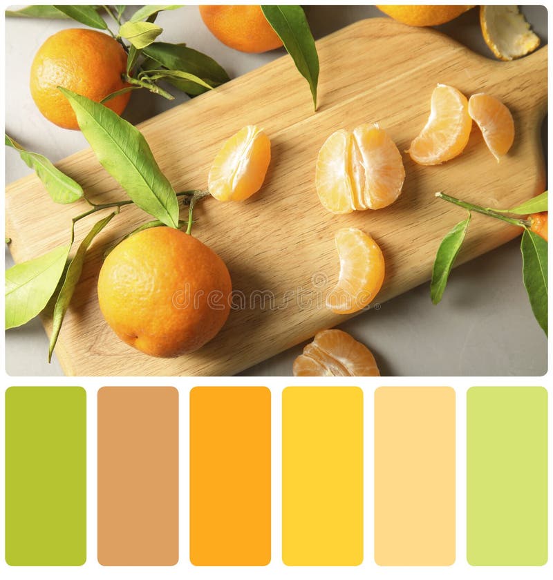 Color Matching Palette. Flat Lay Composition with Ripe Tangerines on ...