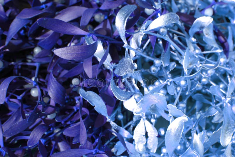 Color mistletoe background stock photo. Image of close - 101682680