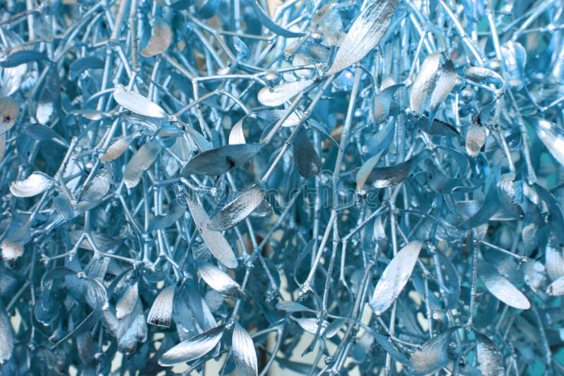 Golden mistletoe stock photo. Image of beige, decoration - 22251144