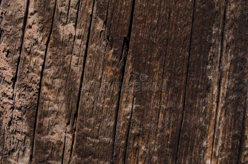 Color Natural Oscuro De Una Textura De Madera Imagen de archivo ...