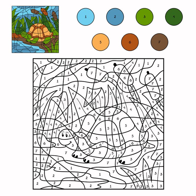 Color Number Turtle Stock Illustrations – 224 Color Number Turtle Stock ...
