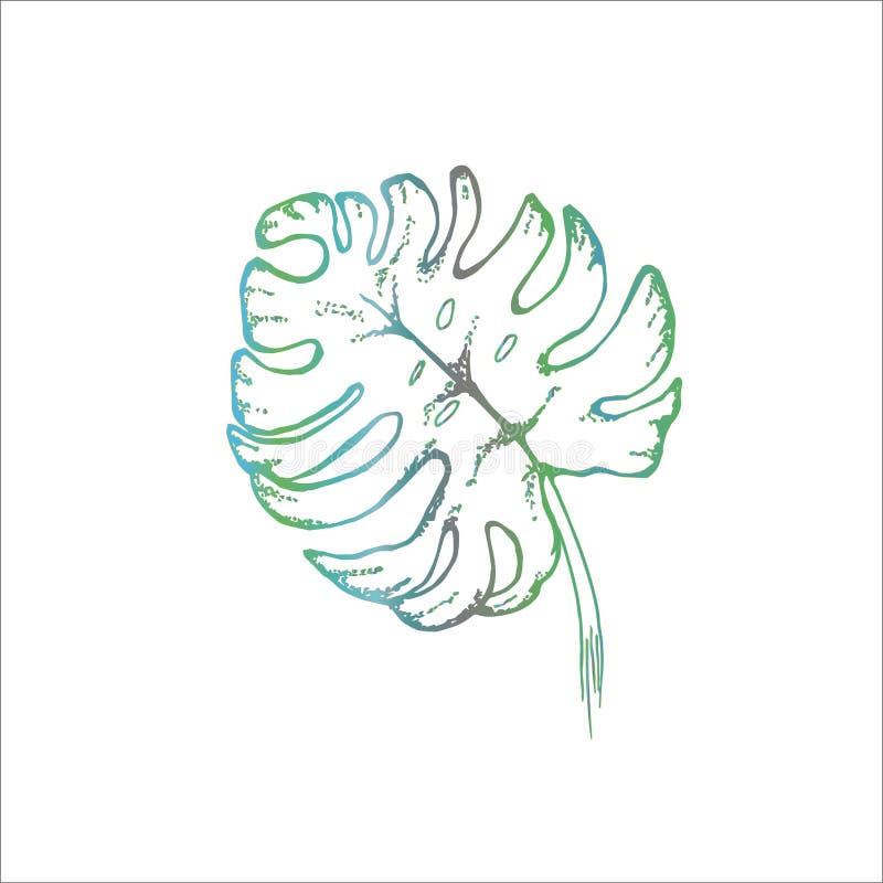 Color Painting Leaf Monstera. Graphic Drawing of a Flower. Stock ...