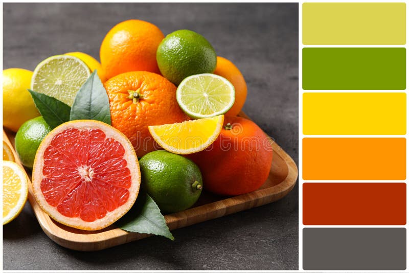 Color Palette and Different Ripe Citrus Fruits on Grey Table. Collage ...