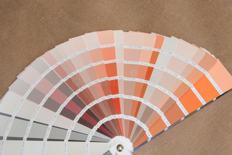 Color Palette Lying on the Ground To Choose from for Renovation Stock ...