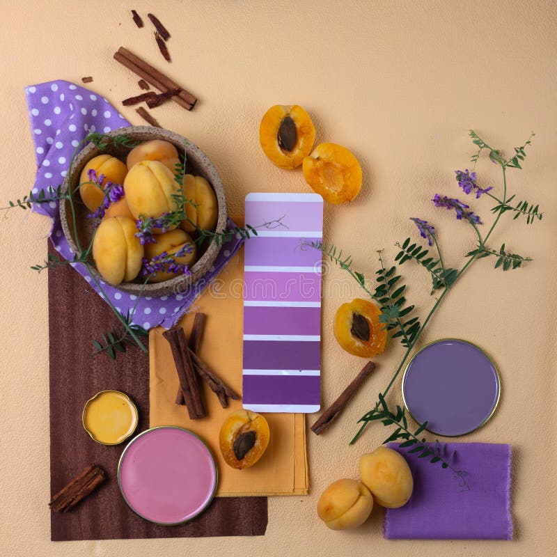 Color Palette Mood Board for Interior Design and Decor Stock Image ...