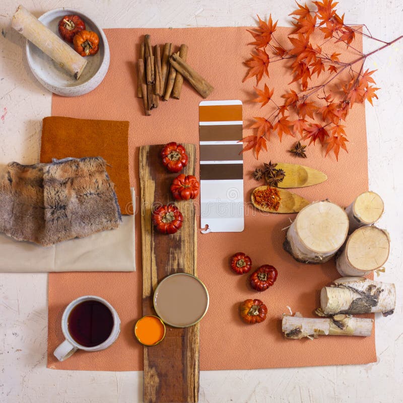 Color Palette Mood Board for Interior Design and Decor Stock Photo ...