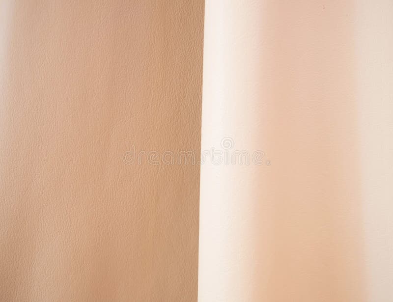 Color Palette Sample of Leather Material. Stock Image - Image of ...