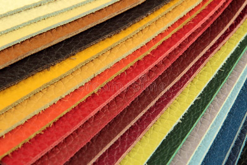 Color Palette Sample Picker of Leather Material Stock Photo - Image of ...