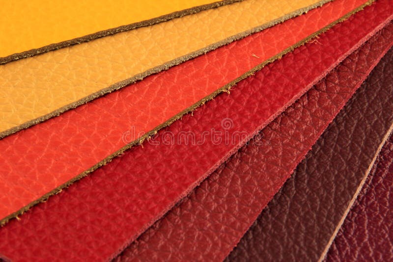 84+ Color palette sample Free Stock Photos - StockFreeImages