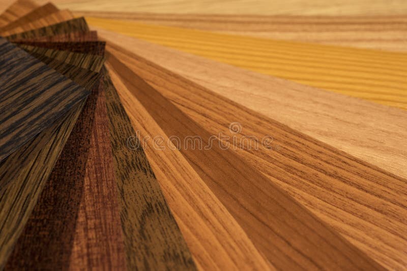 Color Palette and Wood Texture Samples Guide Stock Image - Image of ...