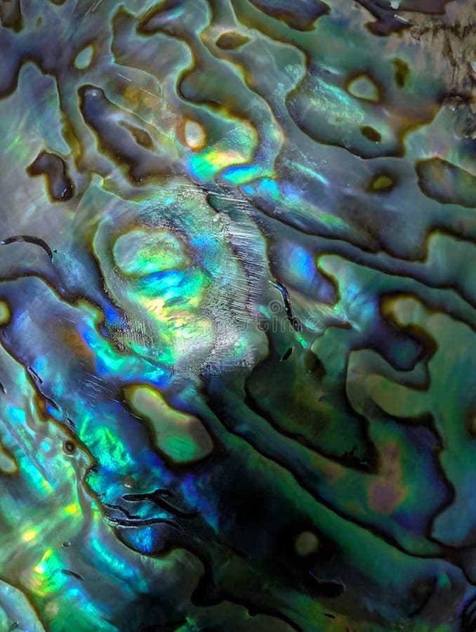 Color pearl shell texture stock image. Image of shellfish - 366043741