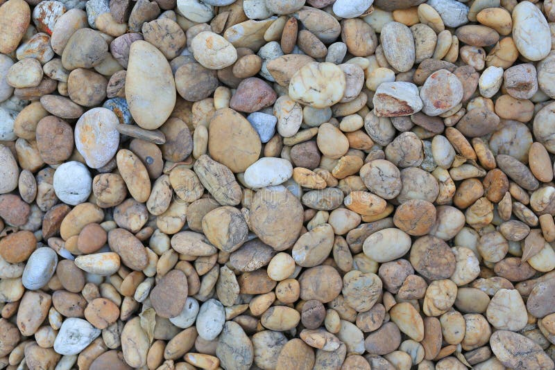 Color Pebble Stone on Ground for Texture Background Stock Photo - Image ...
