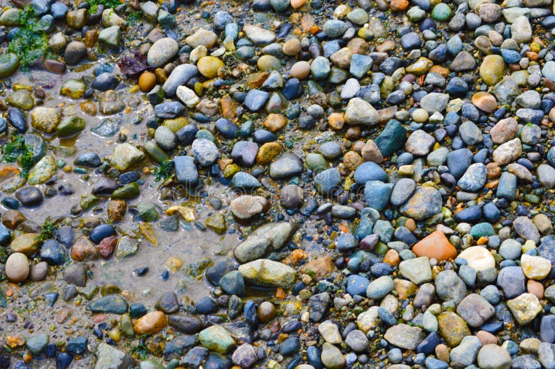 Color Pebbles stock photo. Image of rocks, pretty, artistic - 51950084