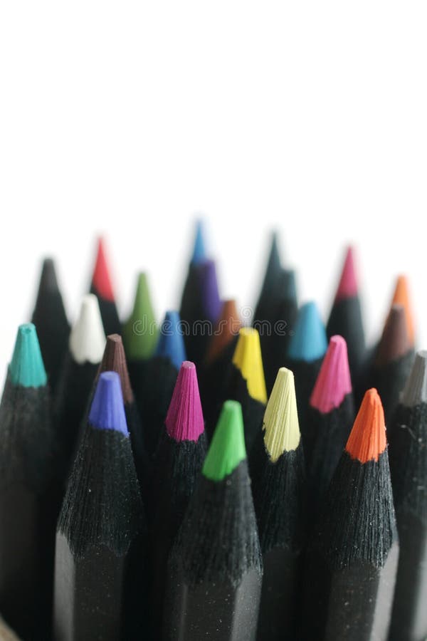 Three Color Pencils Made of a Natural Tree and Pine Cone Stock Image ...