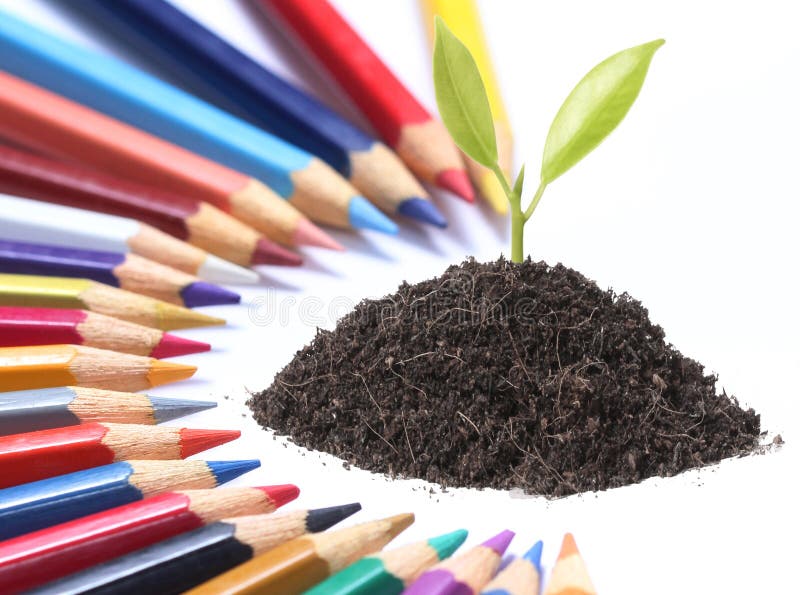 Color pencil and plant stock photo. Image of create, school - 34844008