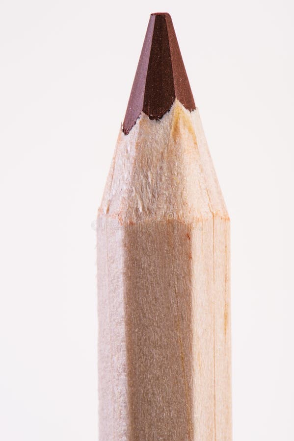 Brown Color Pencil Vertically. Macro Stock Image - Image of white ...