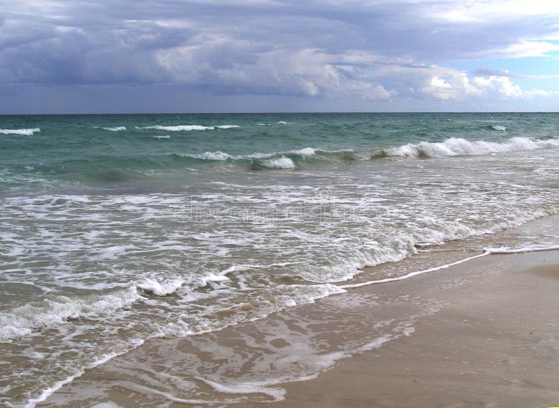 Color Photography of Autumn Beech Leaf Under Water Stock Image - Image ...