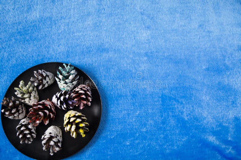 Color Pinecones on Blue Background Stock Photo - Image of blue, soft ...
