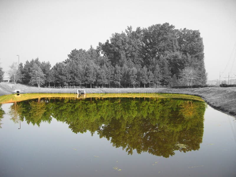 Color Reflection stock photo. Image of wind, black, reflect - 258954