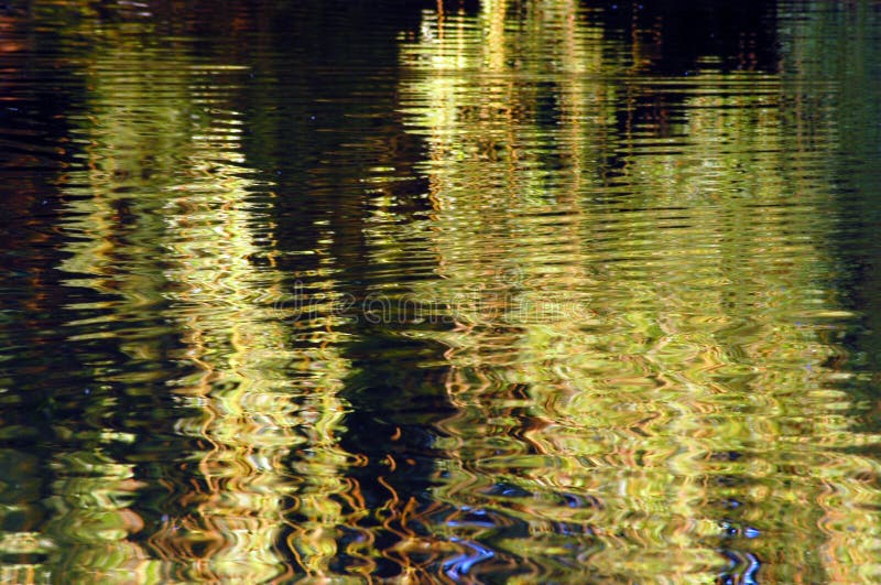 Color reflection stock photo. Image of shore, park, green - 150763582