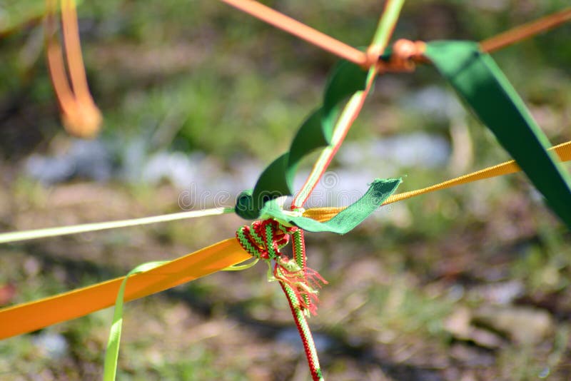 Color Rope Tied To a Tree. Trees and Ropes Stock Photo - Image of ...